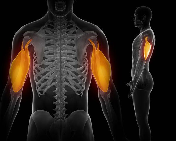 5 Tricep Workouts To Burn Arm Fat